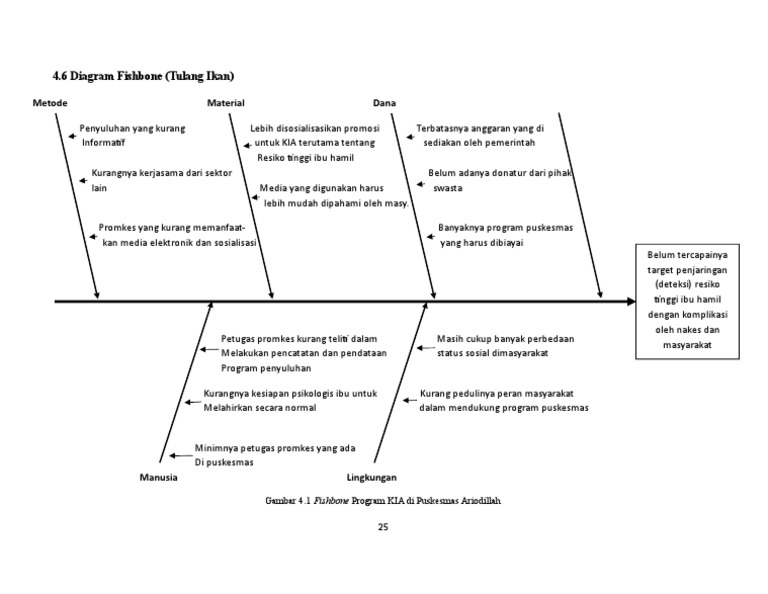 Diagram Ikan KIA Puskesmas | PDF