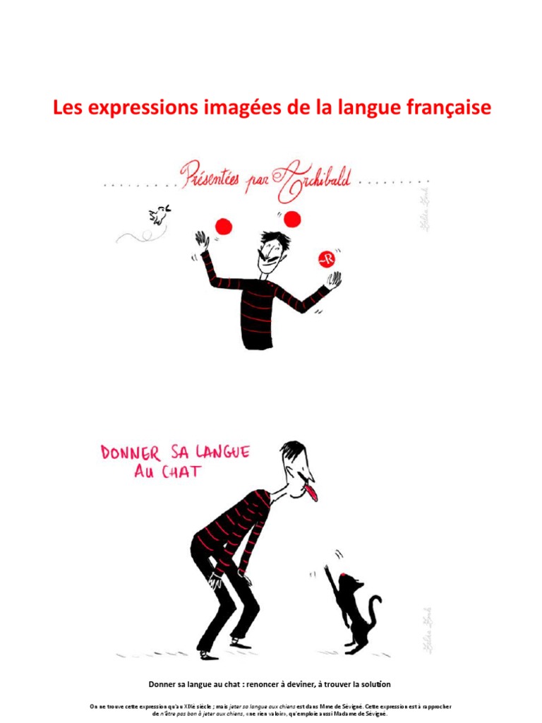 Expressions imagées françaises expliquées | PDF | Chats