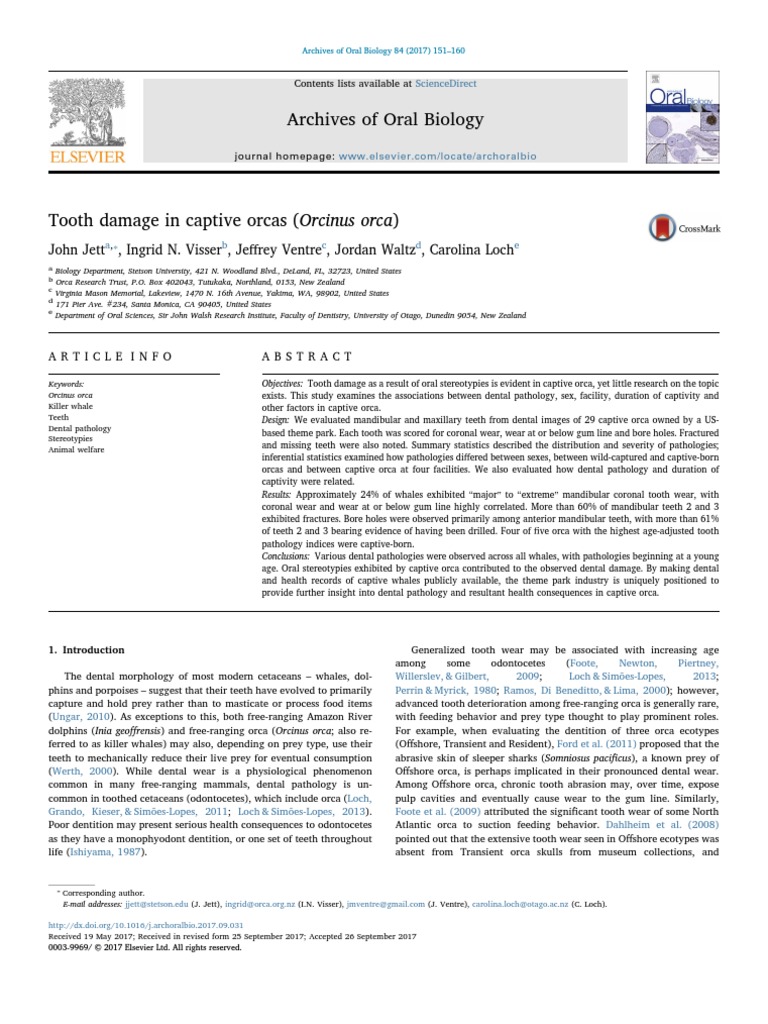 Tooth Damage in Captive Orcas (Orcinus Orca) | PDF | Killer Whale | Tooth