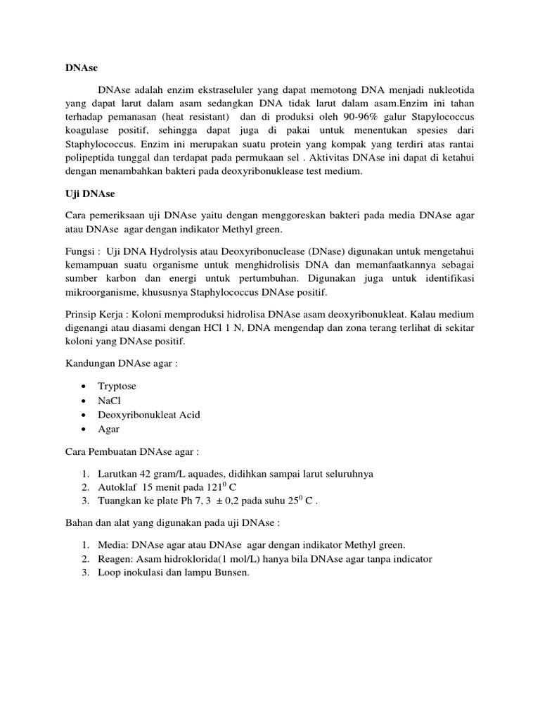 Uji DNAse untuk Identifikasi Staphylococcus | PDF