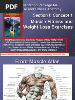 Strength Training Anatomy Overview | PDF | Strength Training ...