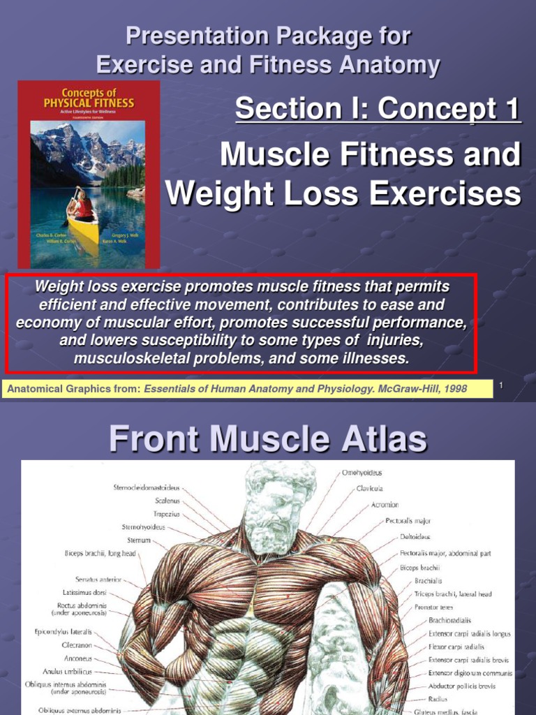Anatomy For Exercise | PDF | Arm | Joints