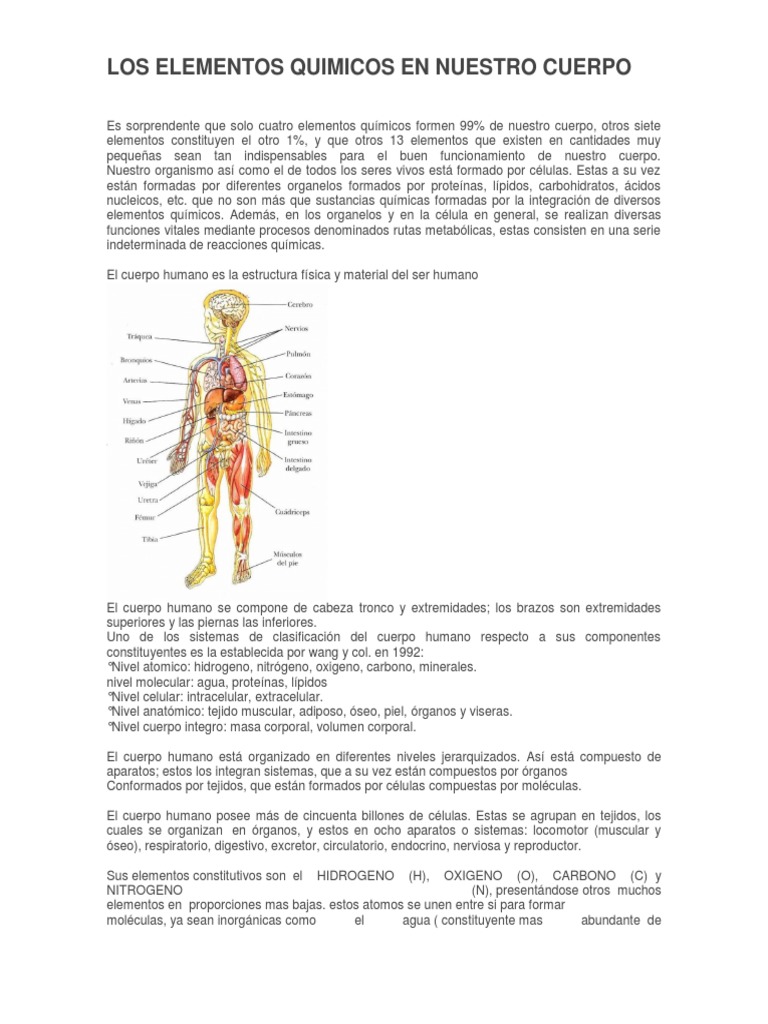 Los Elementos Quimicos en Nuestro Cuerpo | PDF | Cuerpo humano | Nutrientes