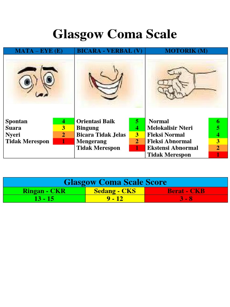 Glasgow Coma Scale Poster | PDF