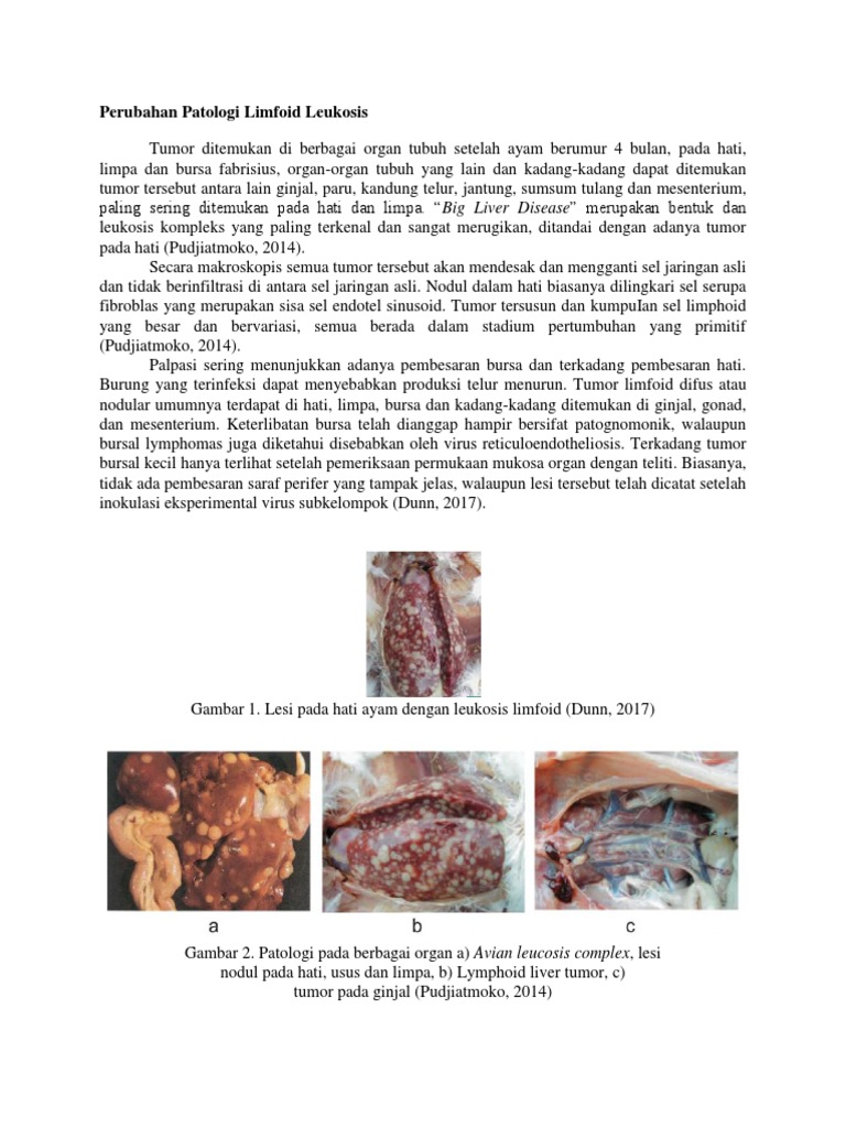 Patologi Limfoid Leukosis pada Ayam | PDF