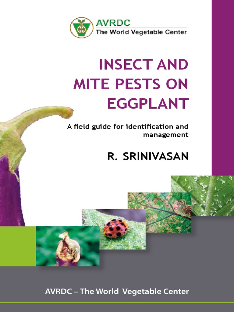 Eb0122 - Insects and Mite Pests On Eggplants | PDF | Pupa | Beetle