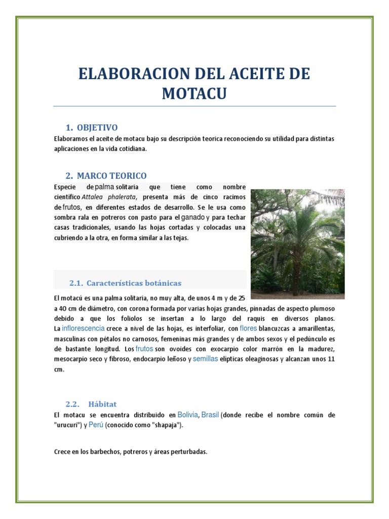 Aceite de Motacu | PDF | Arecaceae | Petróleo