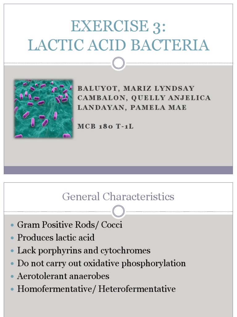EXERCISE 3 (Lactic Acid Bacteria) | PDF