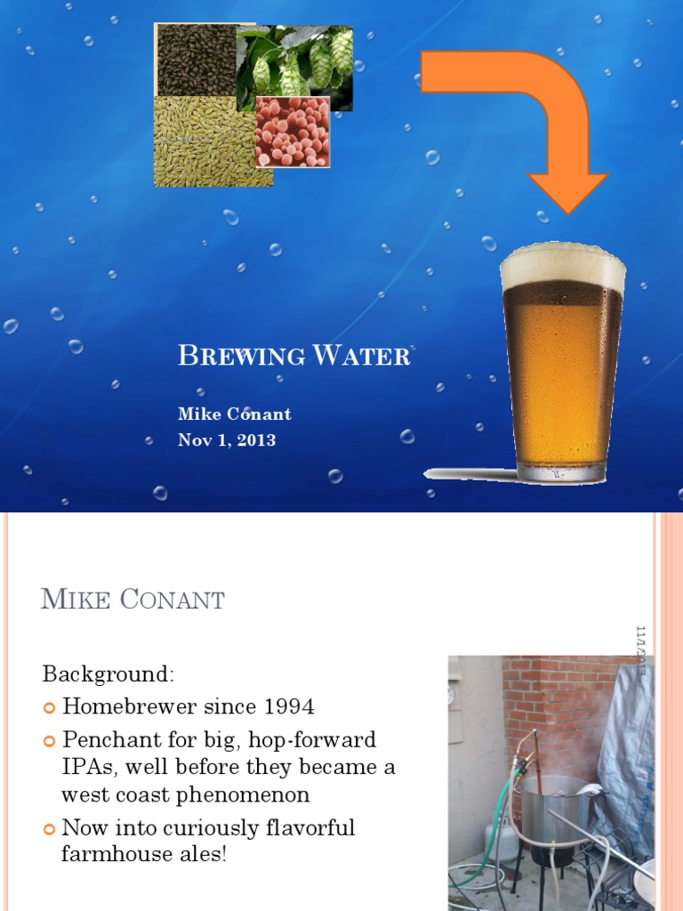 Brewing Water | PDF | Alkalinity | Sodium Chloride