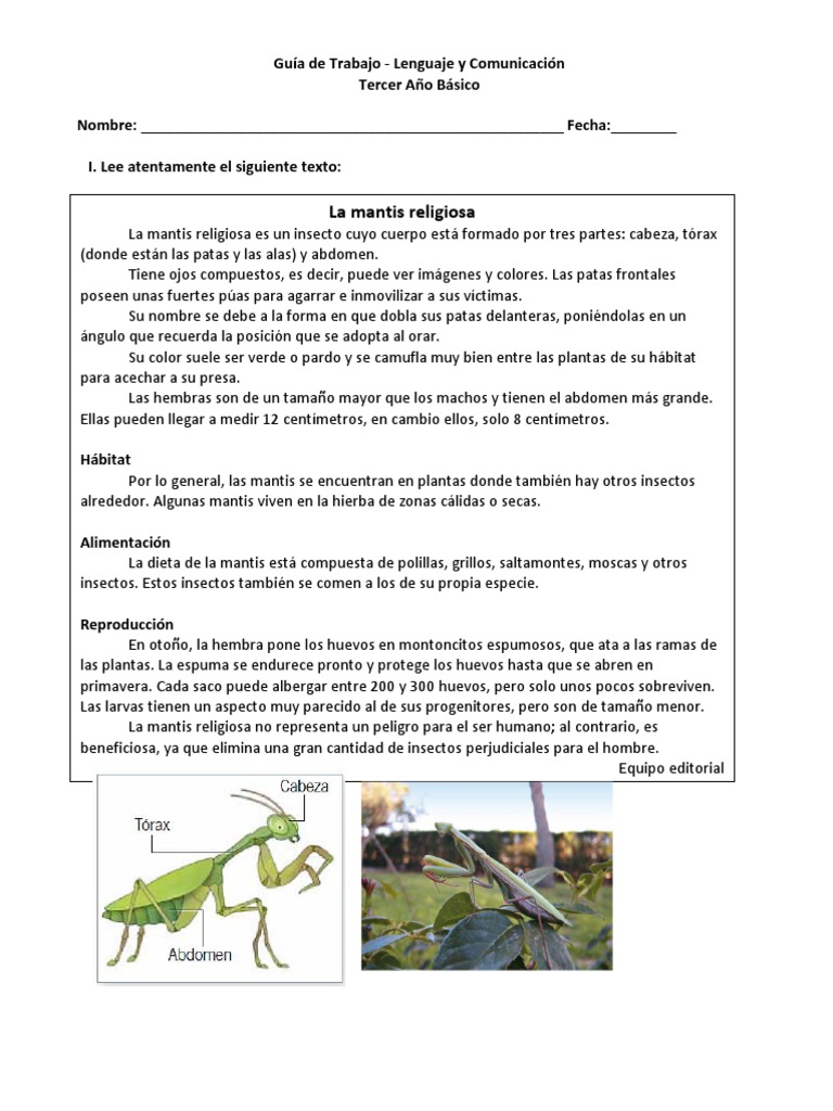 Guia 1 Texto Informativo | PDF | Zoología | Organismos
