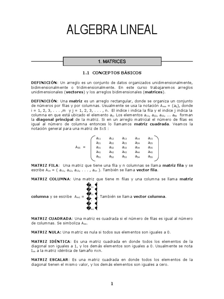 Algebra Lineal Matrices | PDF | Determinante | Matriz (Matemáticas)