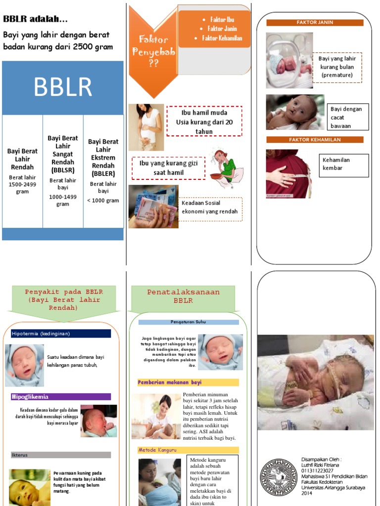 Leaflet Penyuluhan BBLR | PDF