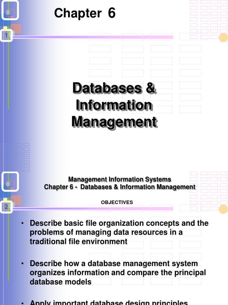 MIS - Chapter - 6 - Database & Information System | PDF | Data ...