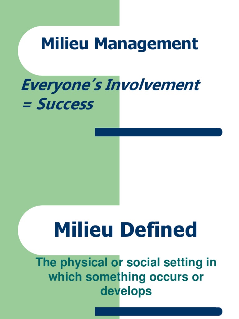 Effective Milieu Management Strategies | PDF | Reinforcement | Patient