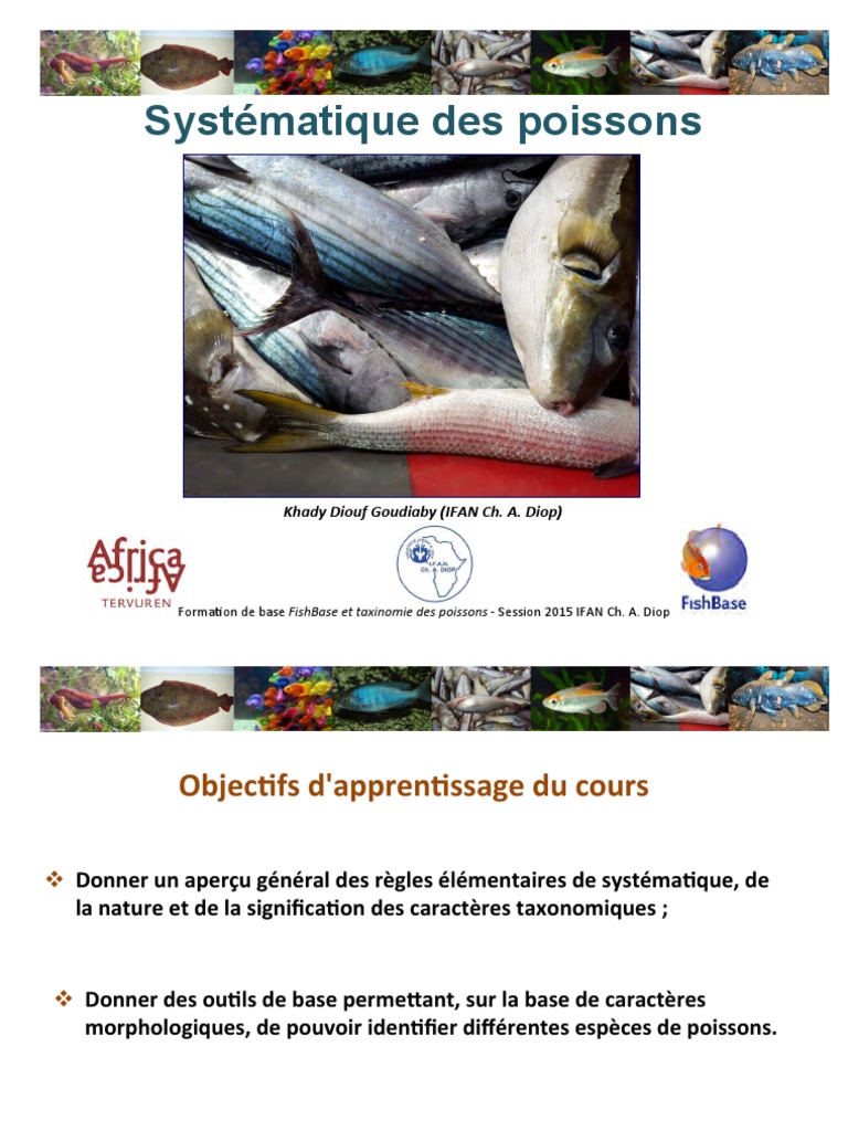 Systématique et classification des poissons | PDF | Poisson | Taxonomie