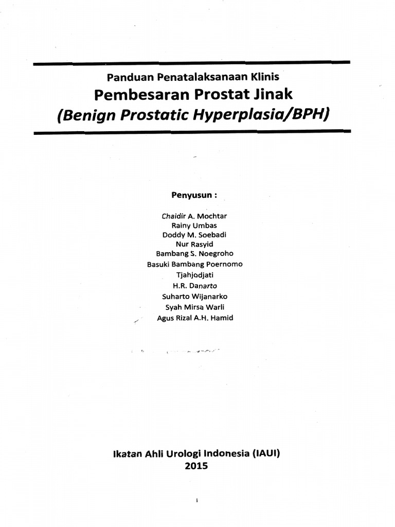 Iaui BPH 2015 | PDF