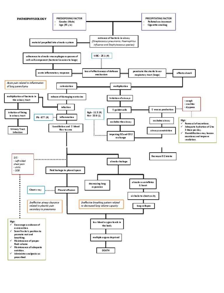 Community-Acquired Pneumonia Pathophysiology | PDF | Respiratory Tract ...