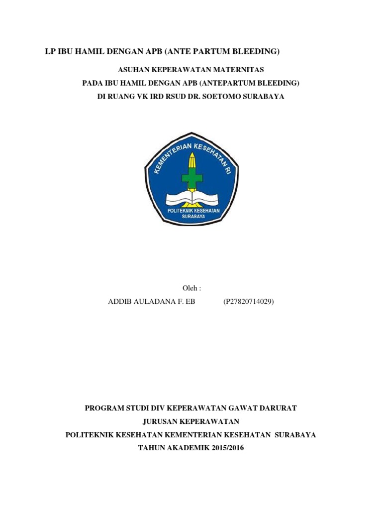 LP Ibu Hamil Dengan Apb | PDF