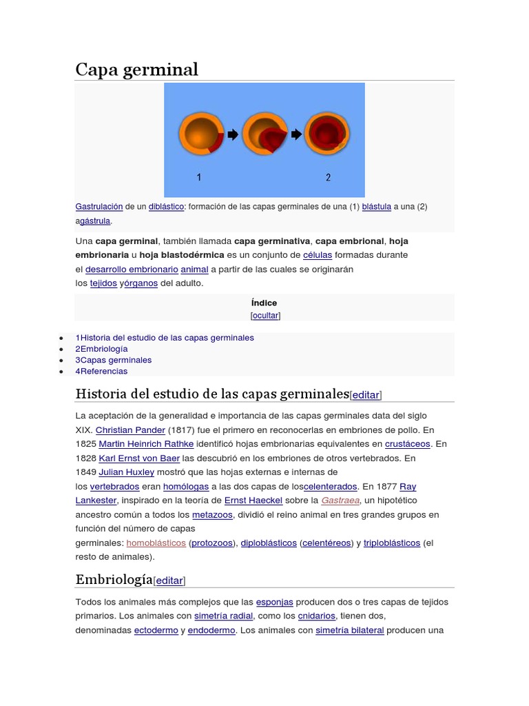 Formación de Capas Germinales Embrionarias | PDF | Anatomía | Biología ...