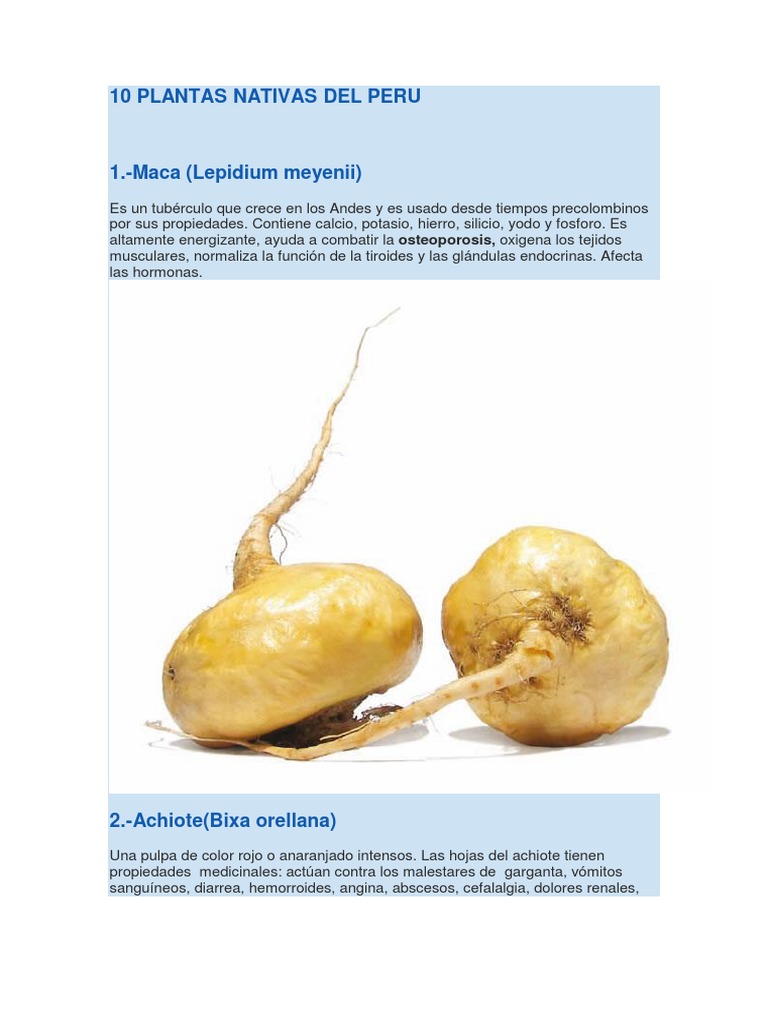 10 Plantas Nativas Del Peru | PDF | Vitamina C | Alimentos