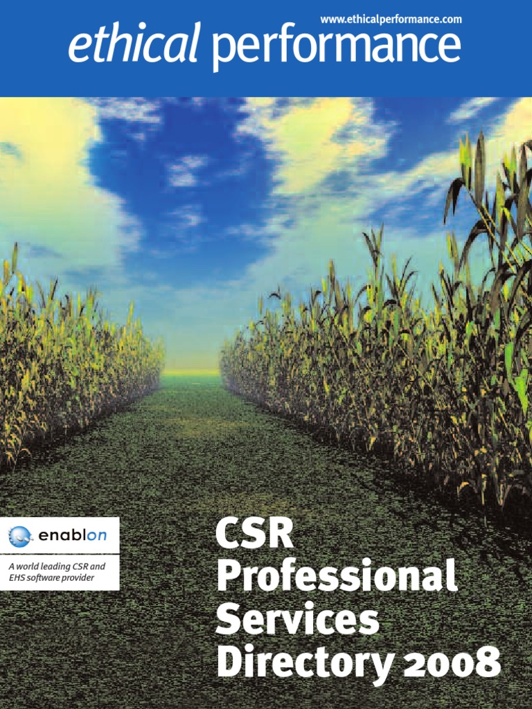 CSR Professional Services | PDF | Corporate Social Responsibility ...