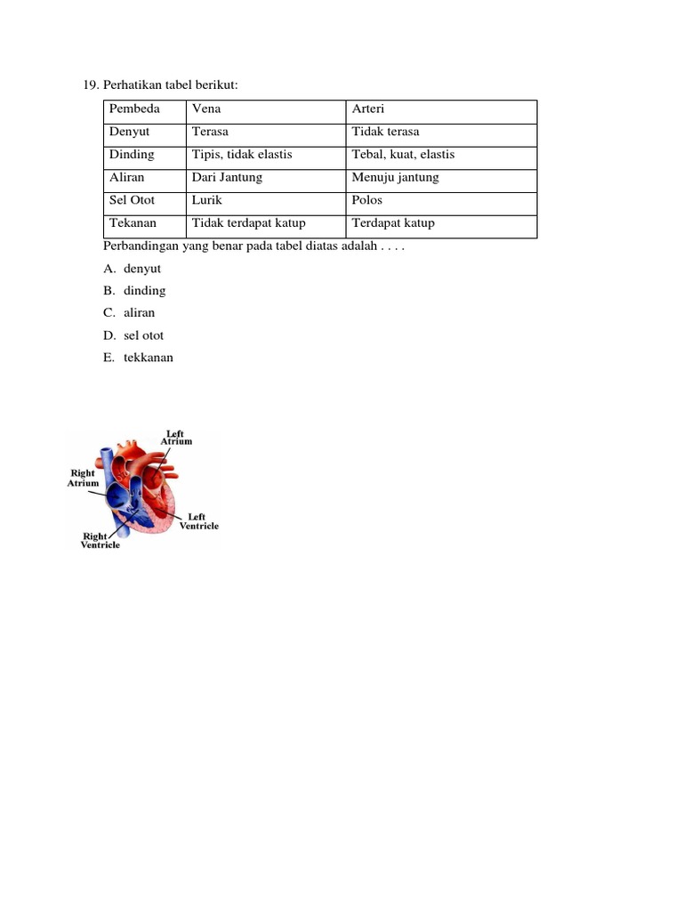 Perhatikan Tabel Berikut | PDF