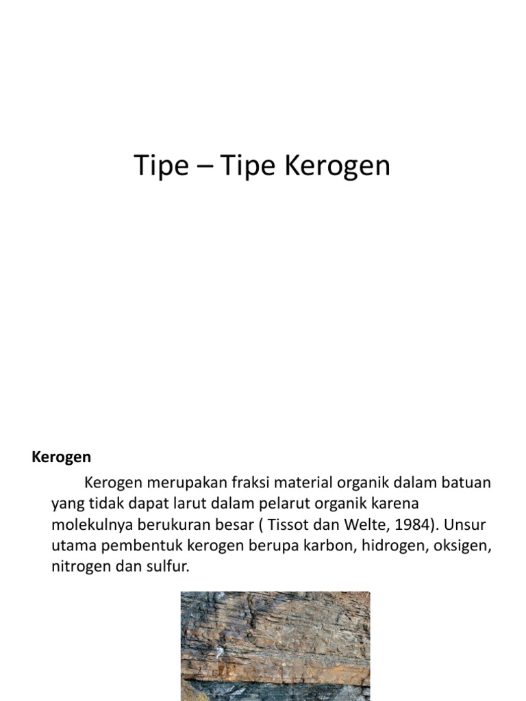 Tipe - Tipe Kerogen | PDF
