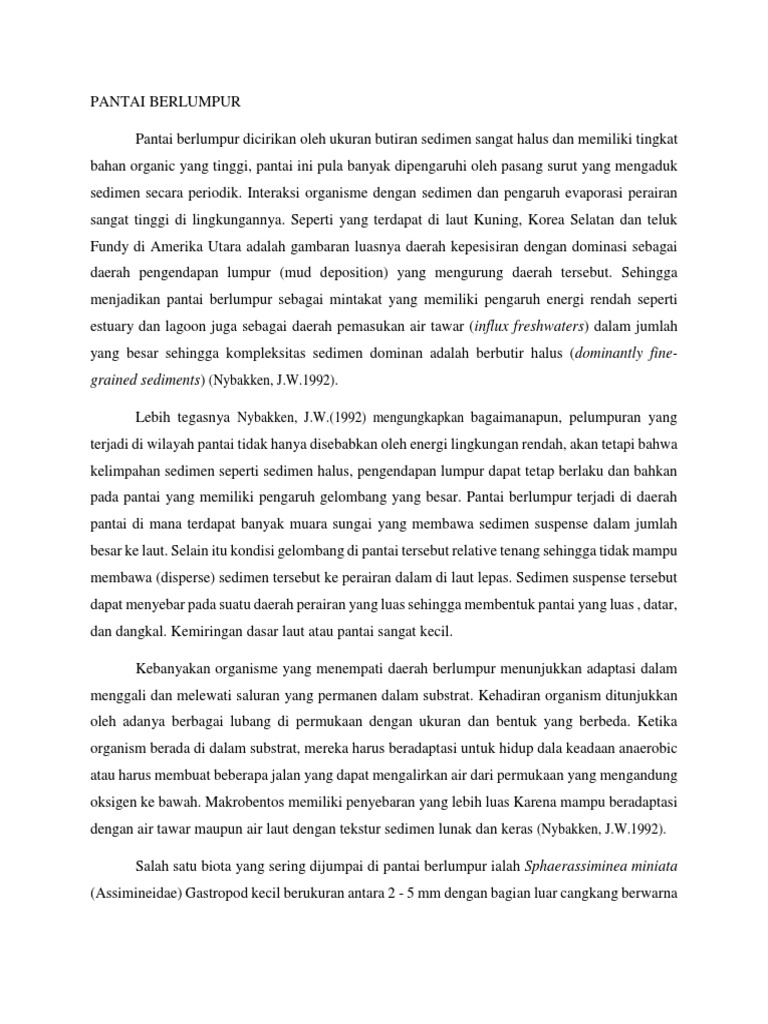 Pantai Berlumpur | PDF