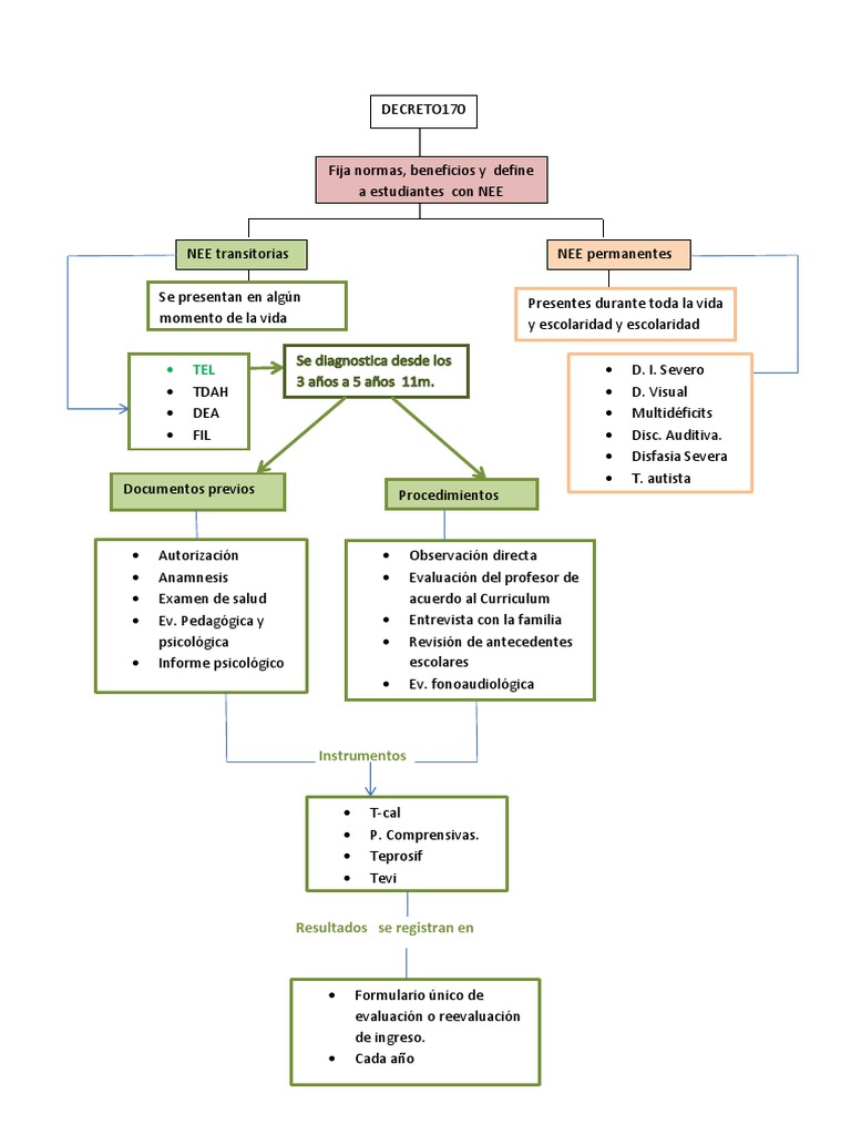 Mapa Conceptual Decreto 170 | PDF