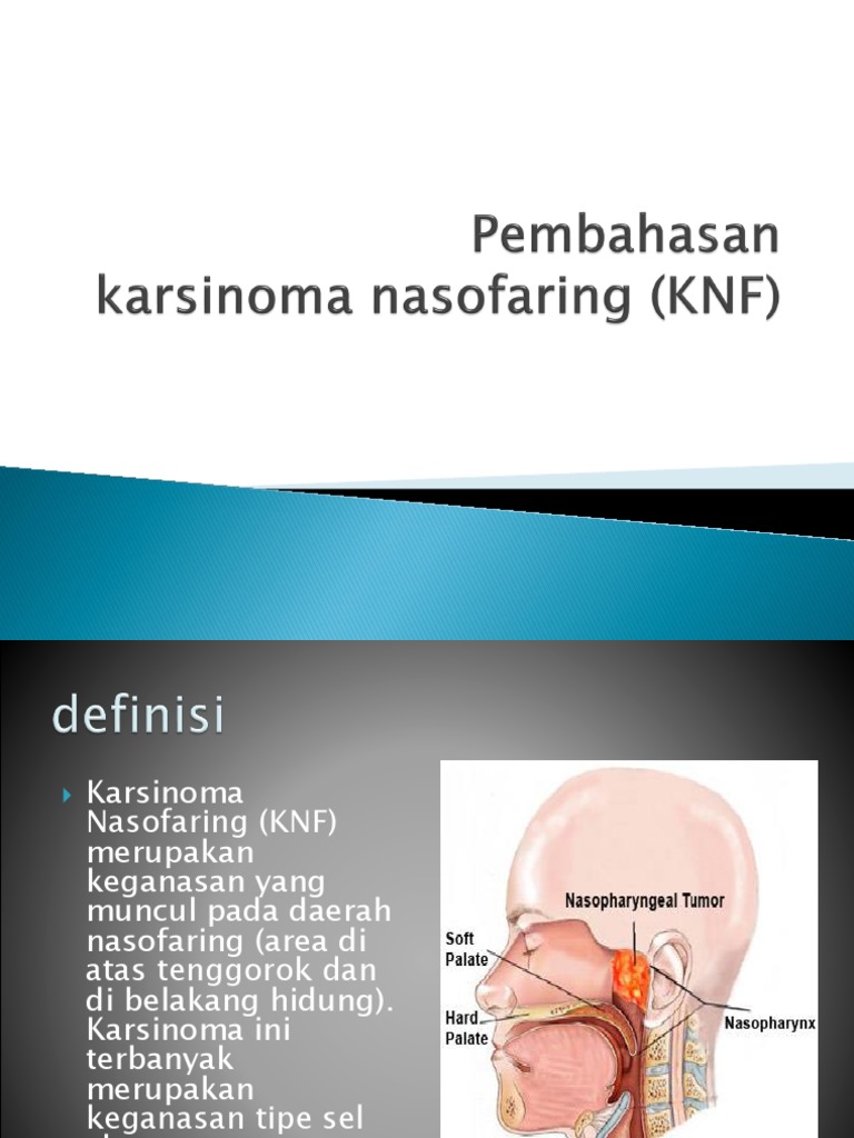 KNF | PDF