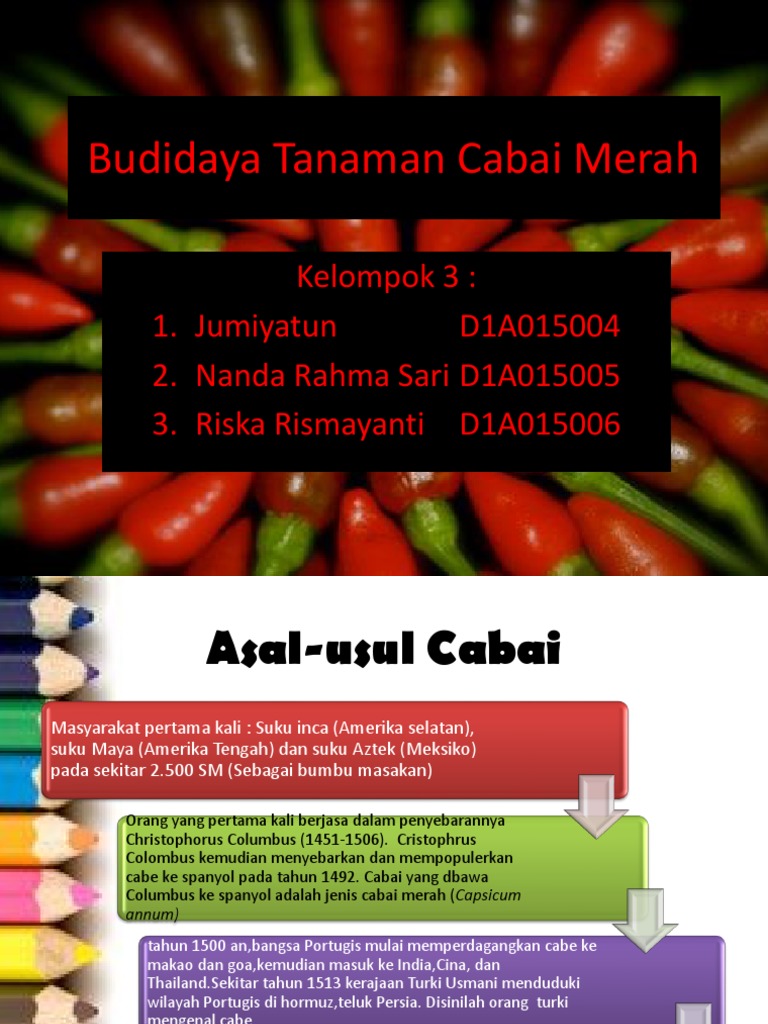 Presentation Cabai | PDF | Sains & Matematika | Teknologi & Rekayasa