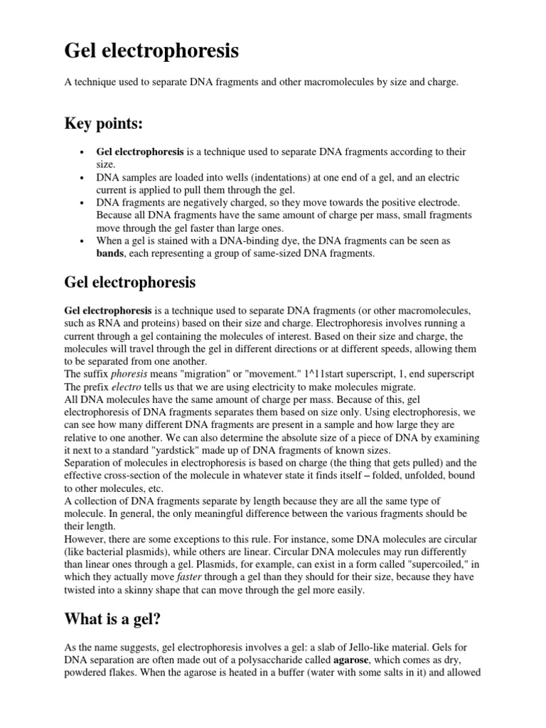 Gel Electrophoresis: Key Points | PDF | Gel Electrophoresis | Agarose ...