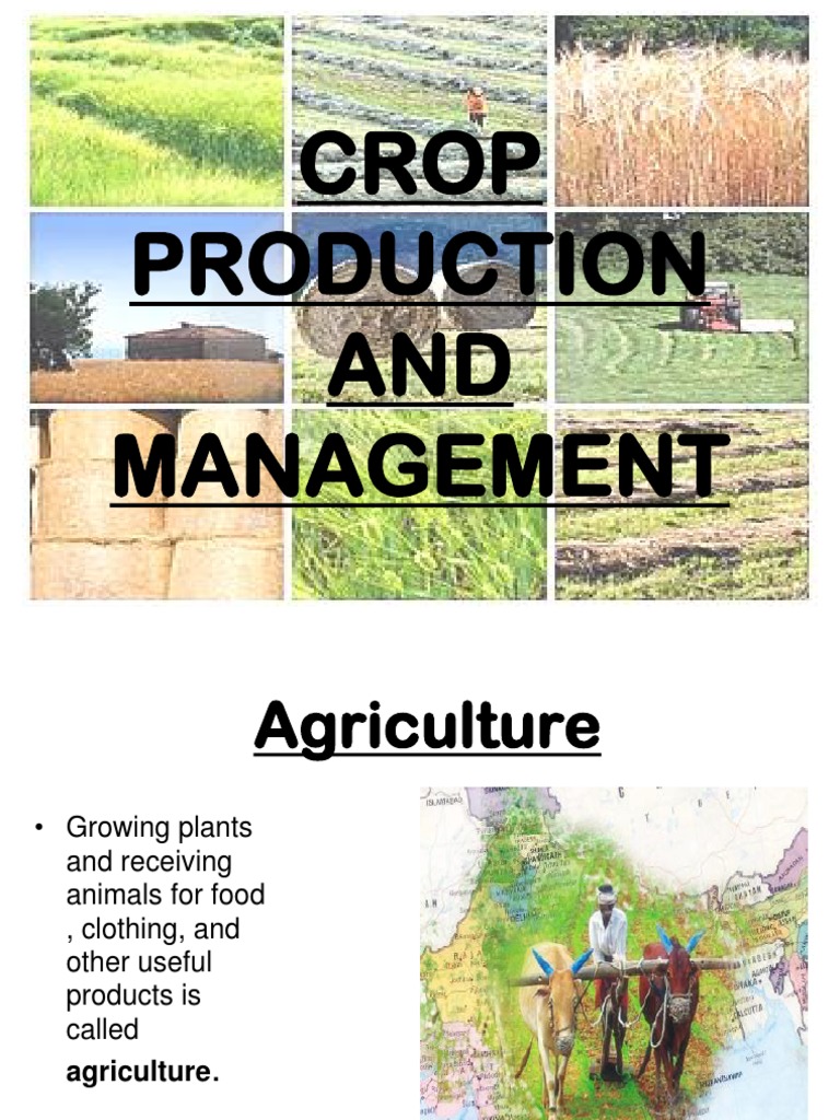 Crop Production and Management | PDF | Sowing | Weed