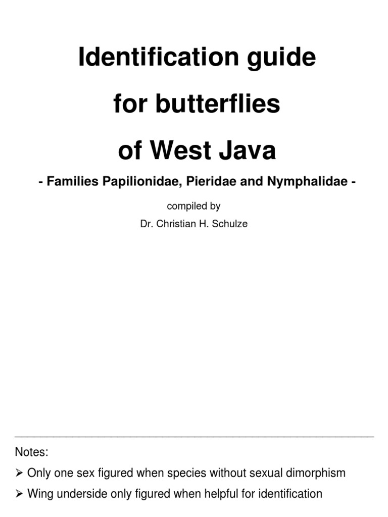 Butterfly Identification in West Java | PDF | Butterfly | Lepidoptera