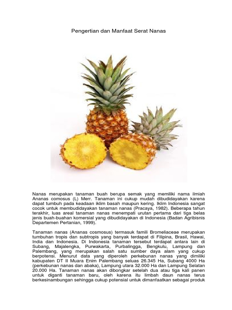 Manfaat dan Potensi Serat Nanas | PDF | Griya & Taman | Teknologi ...
