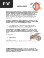 Cápsula de Tenon: Anatomía y Tenonitis | PDF | Ojo humano | Ojo