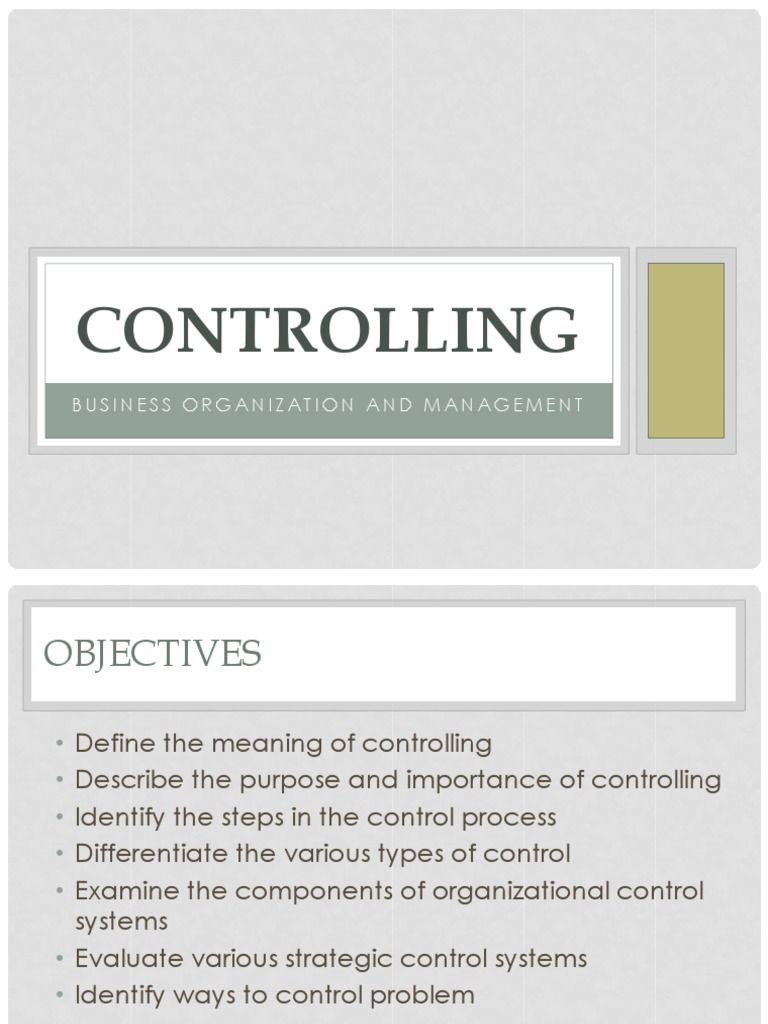 Controlling: Business Organization and Management | PDF | Performance ...