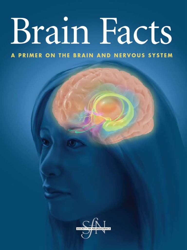 Brain Facts - A Primer On The Brain and Nervous System 6th Edition ...