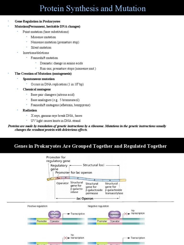 Understanding Genetic Mutations | PDF | Point Mutation | Mutation