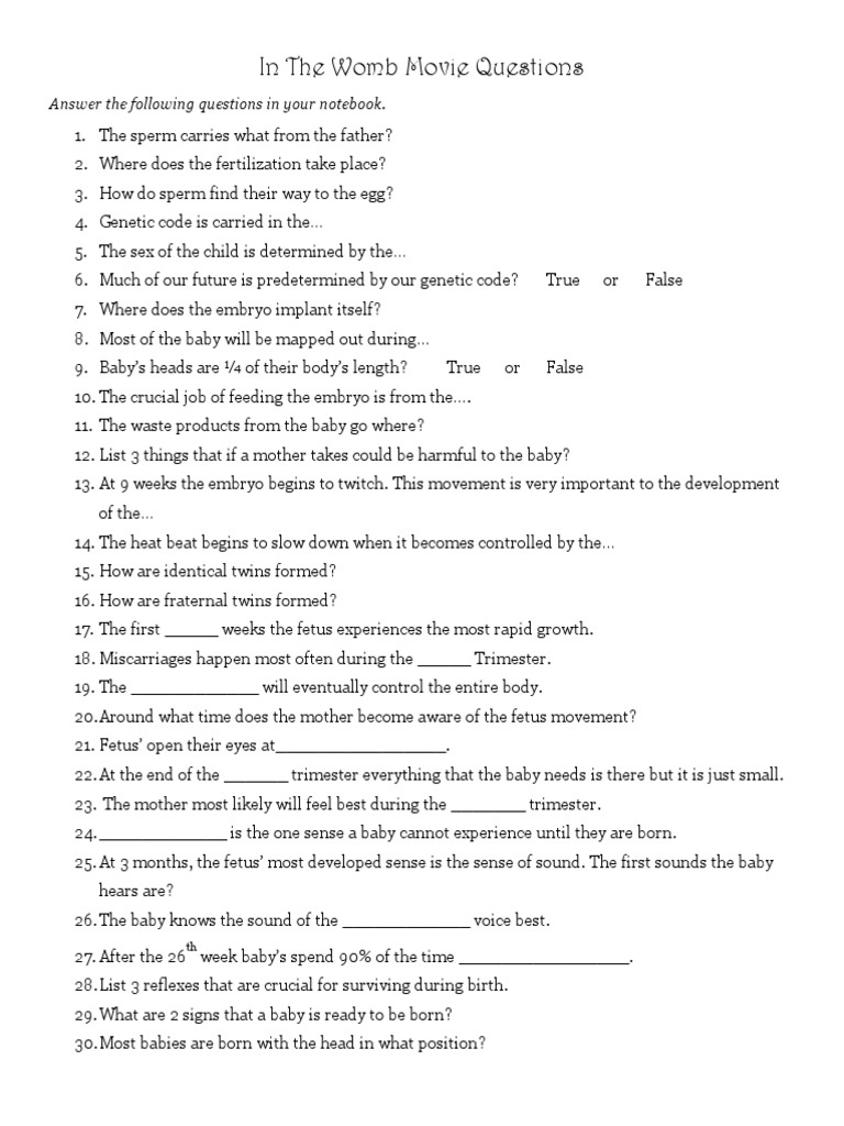 In The Womb Movie Questions | PDF | Twin | Pregnancy