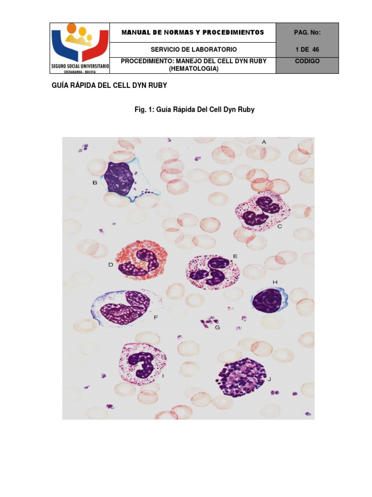 Guía Rápida Cell Dyn Ruby (Arturo) | Calibración | Laboratorios