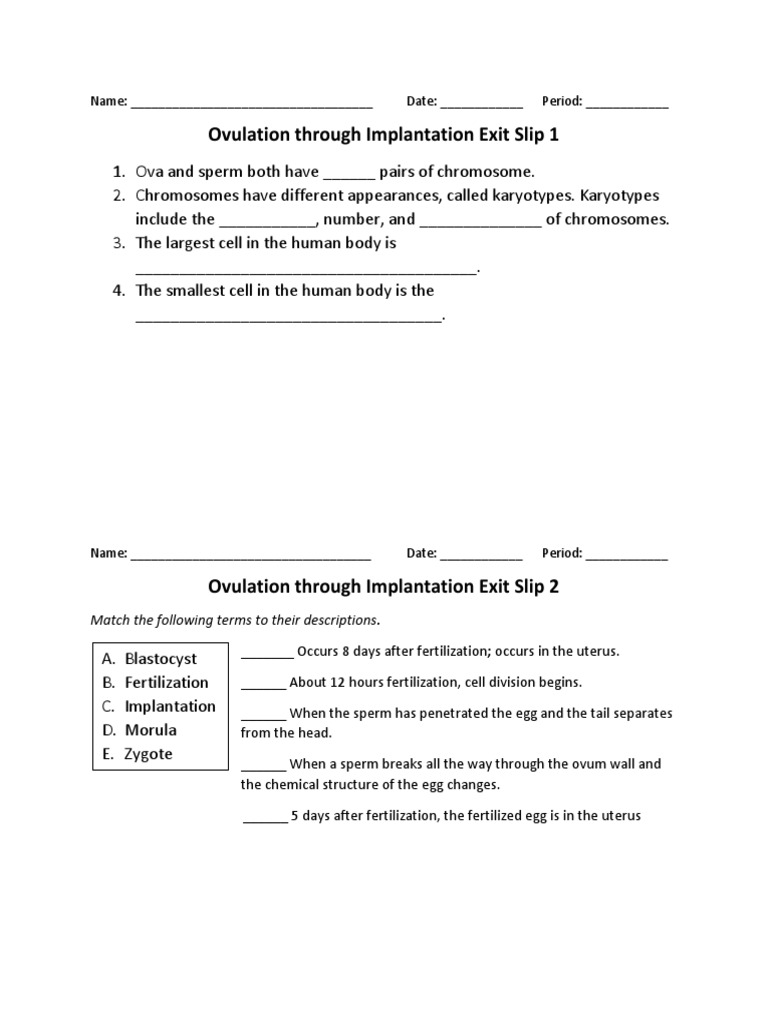 Exit Slips | PDF | Science & Mathematics
