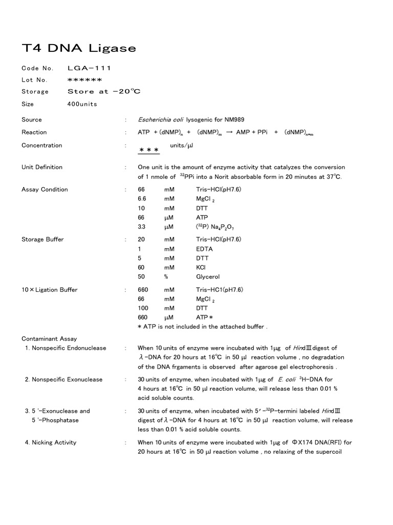 T4 DNA Ligase: Escherichia Coli | PDF | Gel Electrophoresis | Agarose ...