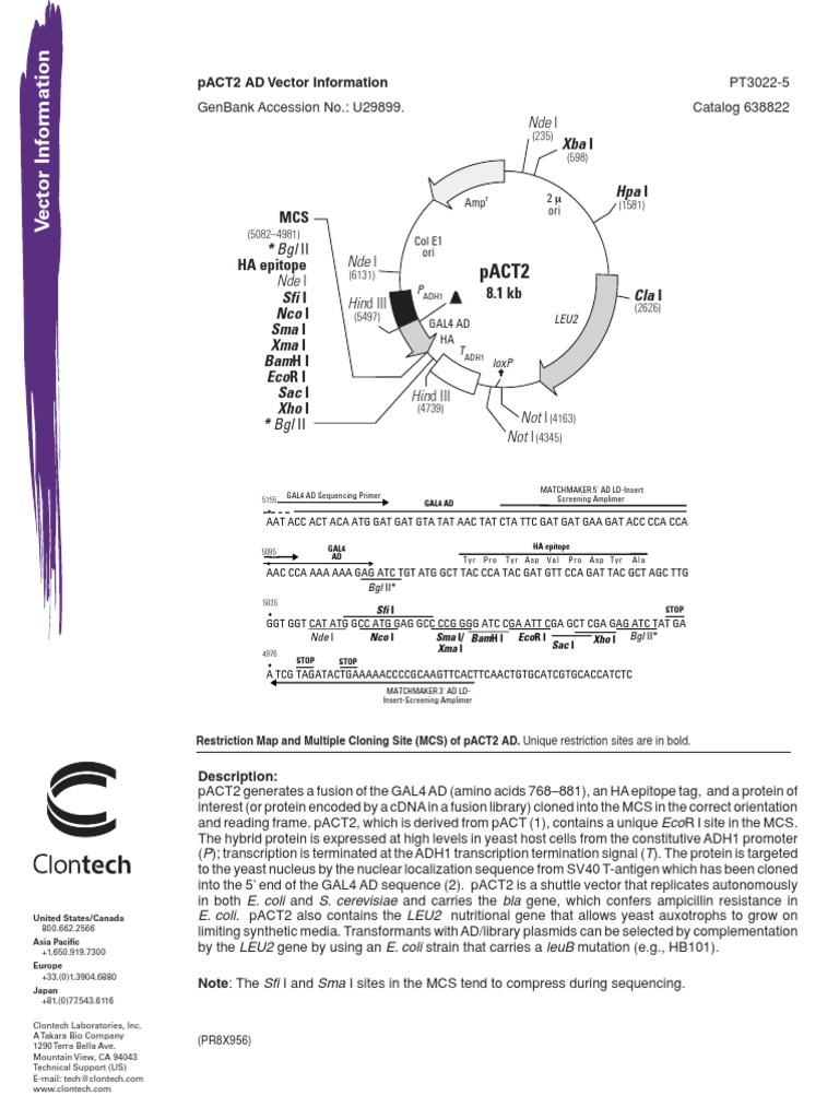 PACT2 AD Vector Information | PDF | Biología Molecular | Biología