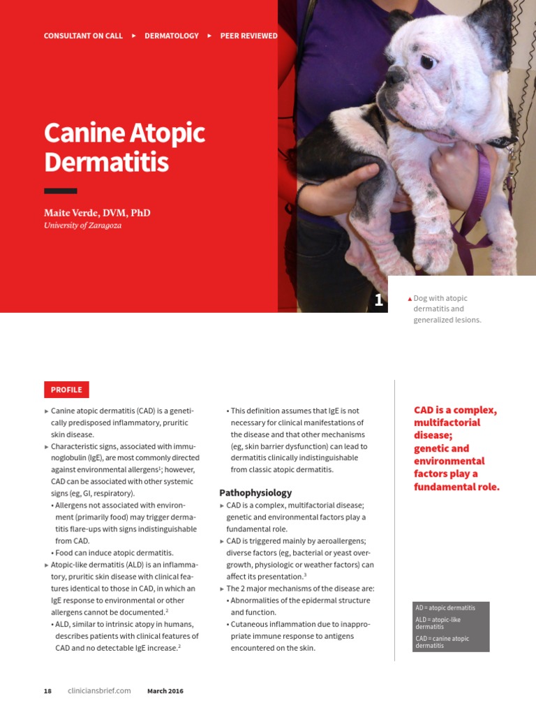 COC - Canine Atopic Dermatitis | PDF | Allergy | Allergen