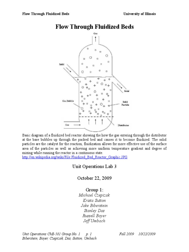 Fluidized Bed Flow Experiment Analysis | PDF | Fluidization | Chemical ...