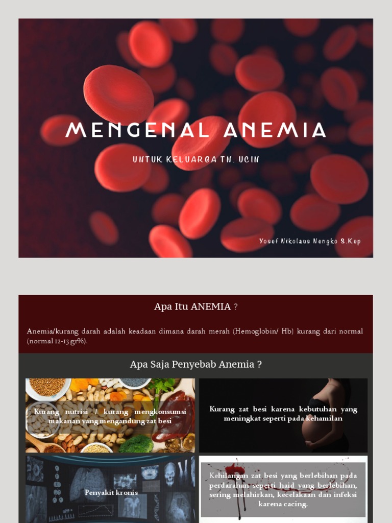 Panduan Keluarga Mengenal Anemia | PDF
