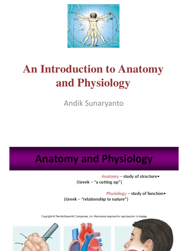 An Introduction To Anatomy and Physiology Midwifery | PDF | Anatomical ...