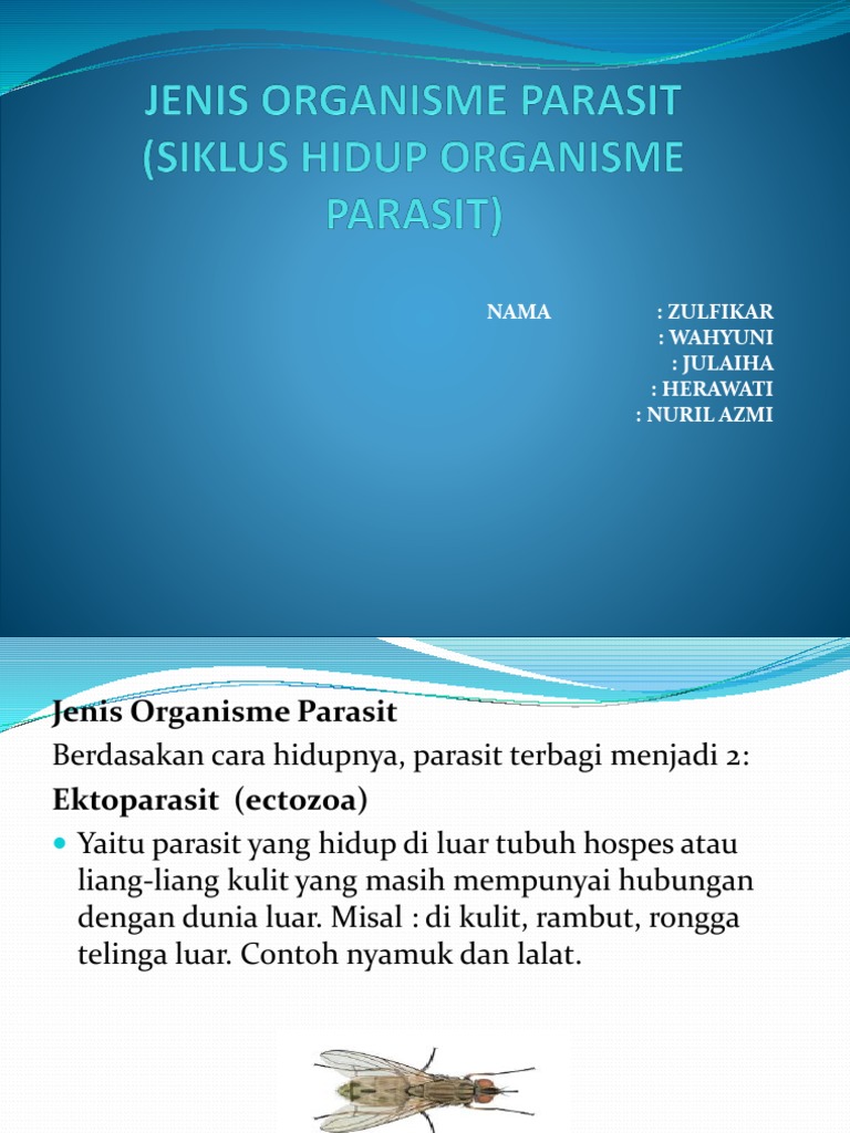 Klasifikasi dan Siklus Hidup Parasit | PDF