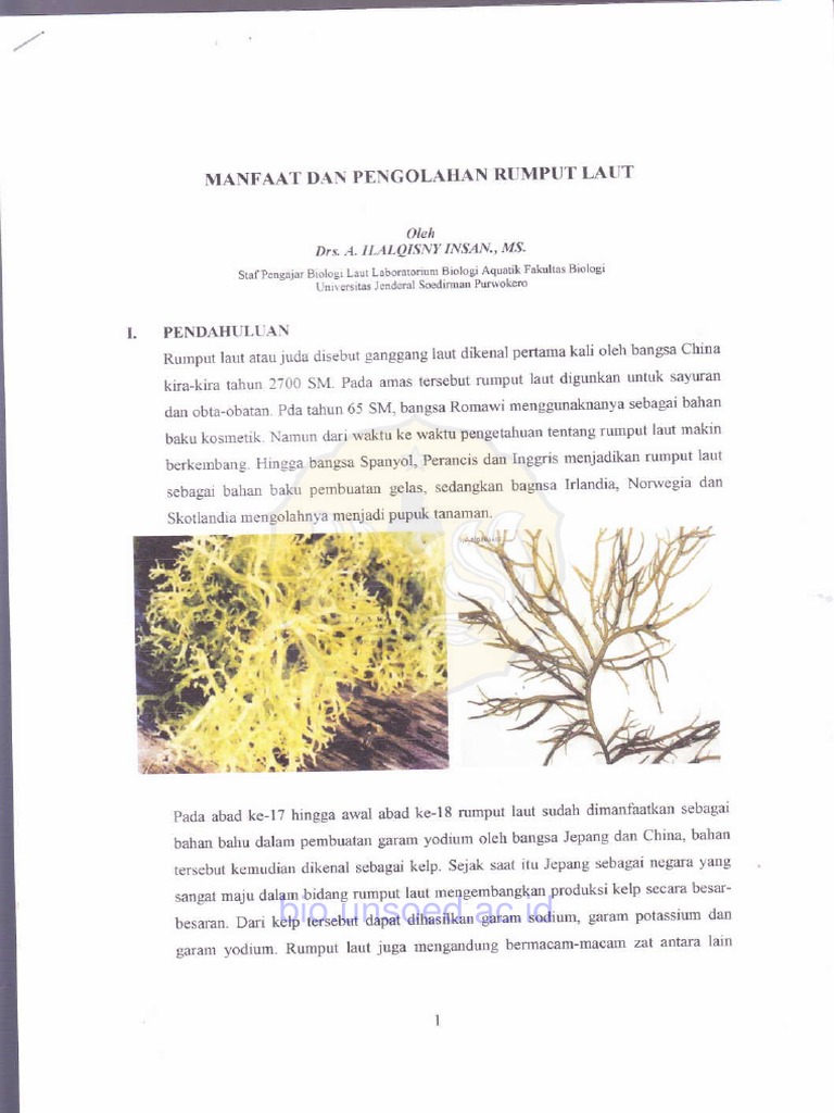Manfaat Dan Pengelolaan Rumput Laut | PDF